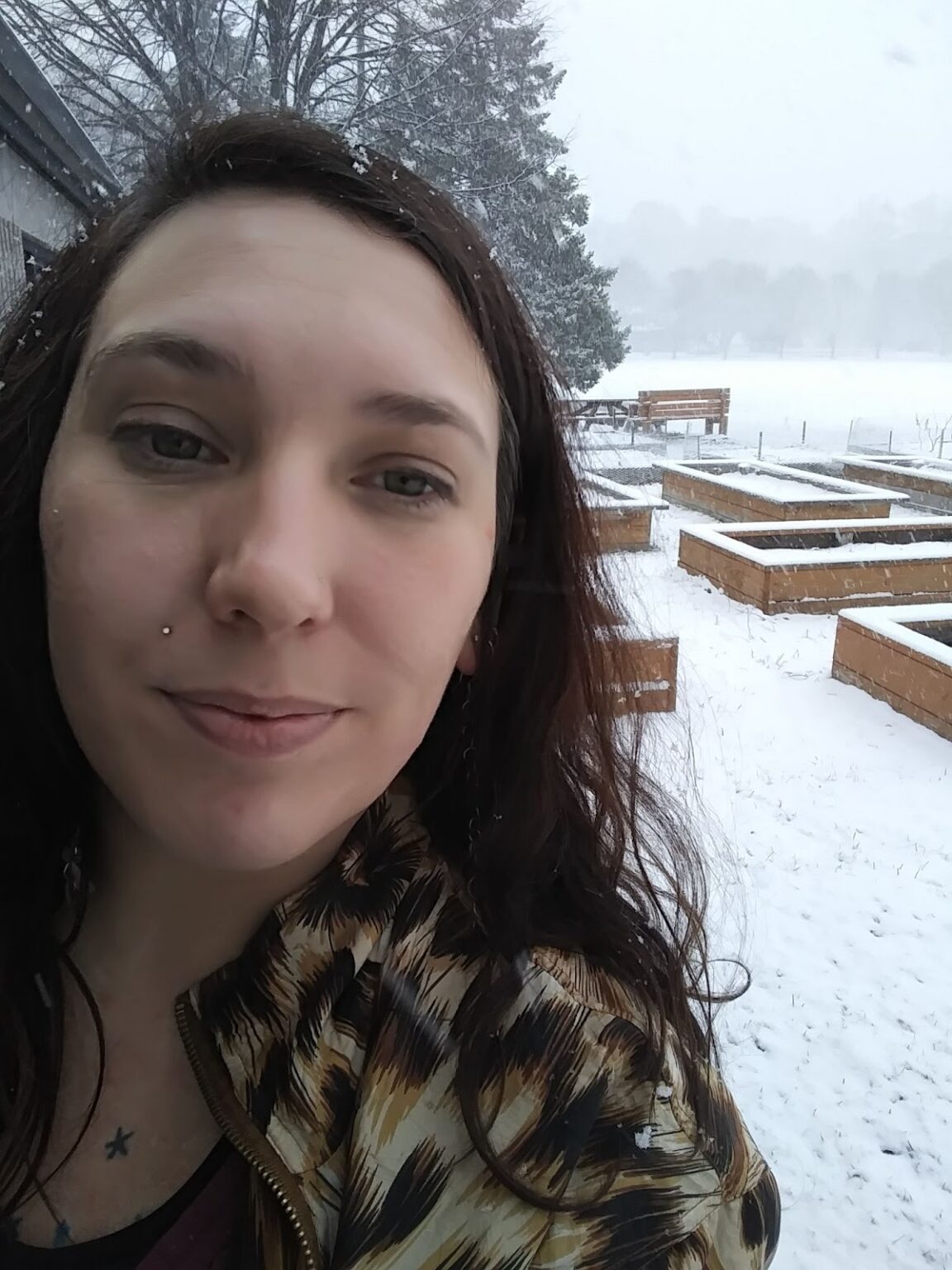 Rhea O’Shion – White Bear Center for the Arts